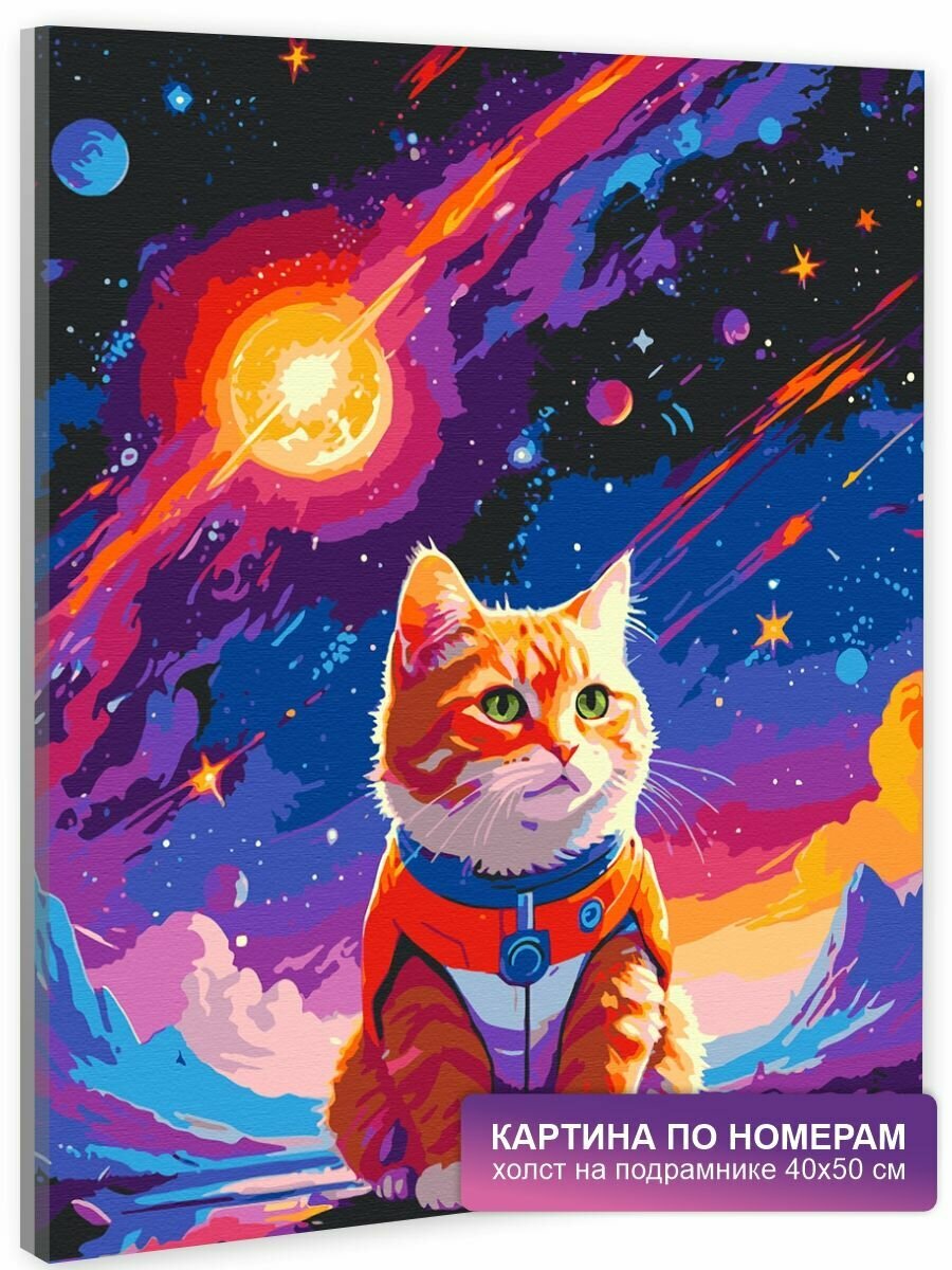 Картина по номерам на холсте с подрамником 40х50 см. Природа, животные, рыбы, птицы. Кот, кошка, котенок. "Фелисетт, кот в космосе", арт. 5363/