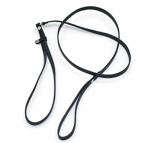 Ринговка для собак Дягилев zoo кожа, 9 мм, черная