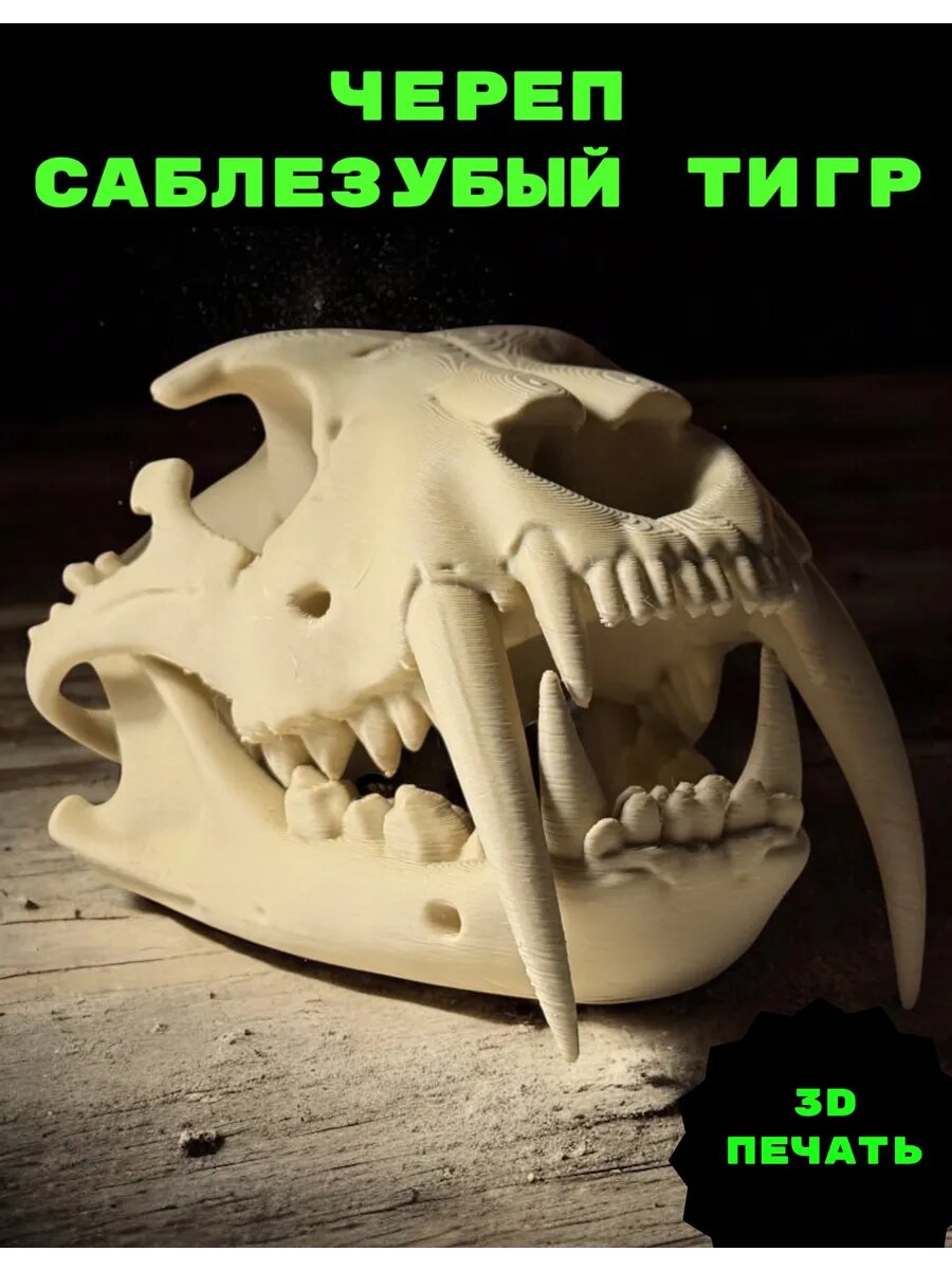 Фигурка Череп Саблезубый Тигр цвет кость 3D печать готическая