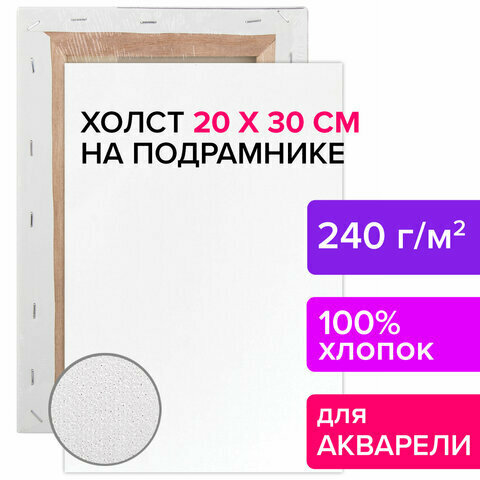 Холст на подрамнике акварельный BRAUBERG ART CLASSIC,20х30, 240г/м, 100% хлопок, мелкое зерно, 191667