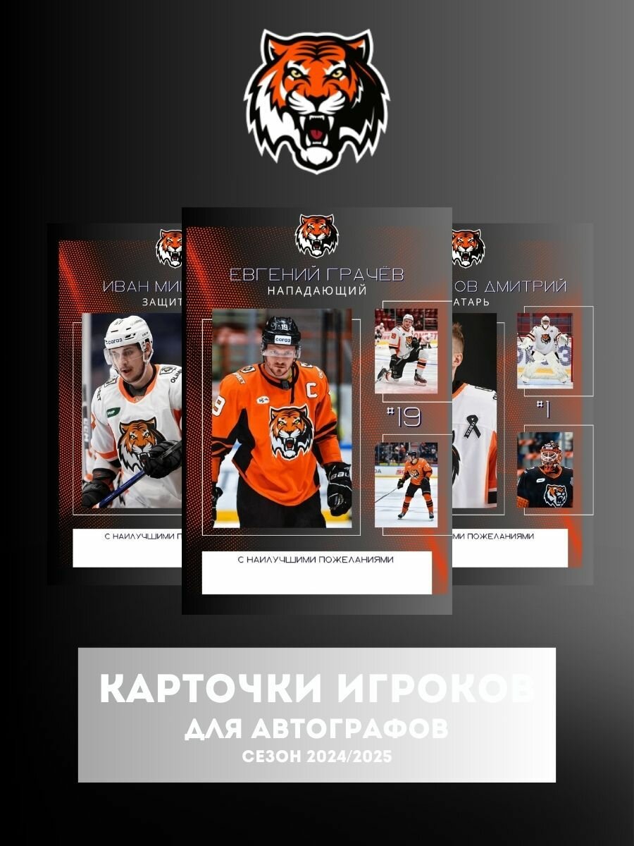 Набор автограф - карточек КХЛ ХК Амур