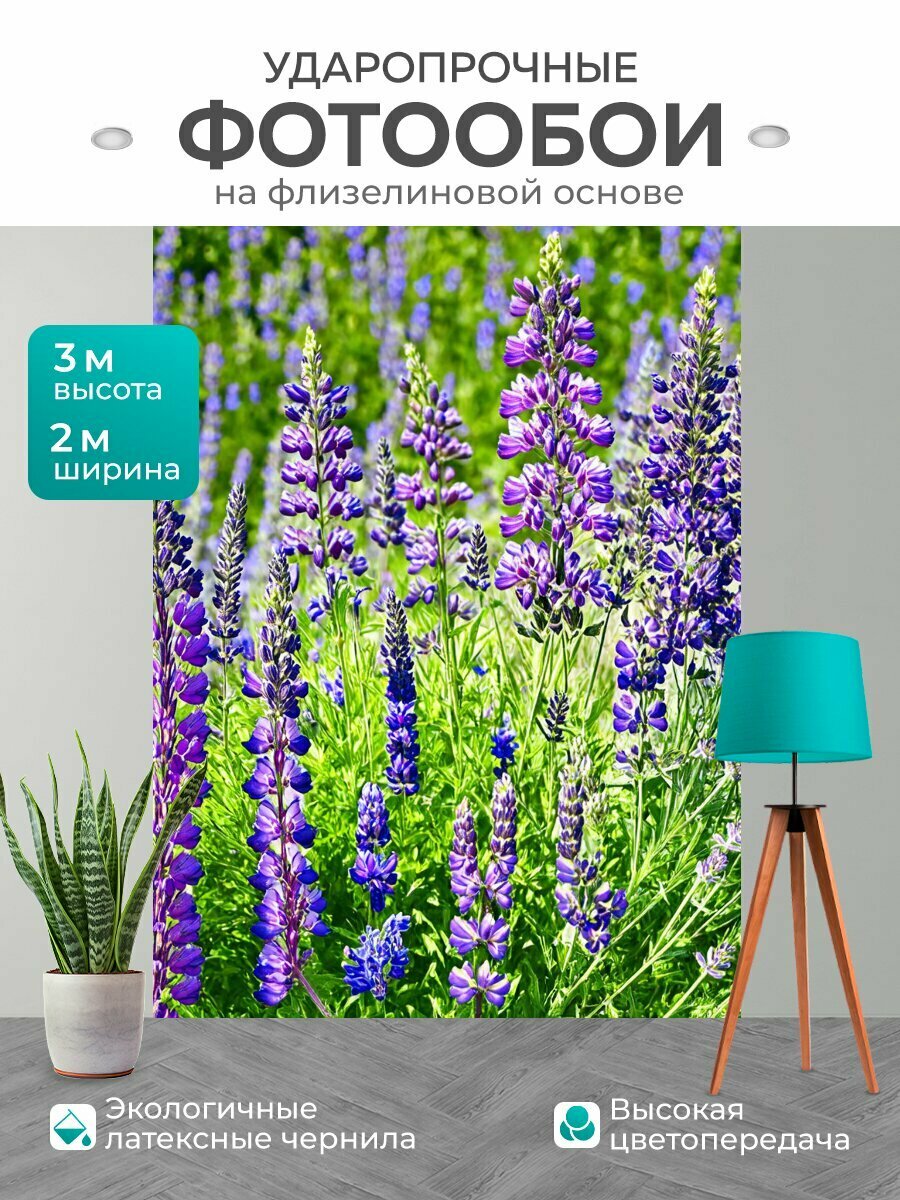 Фотообои моющиеся ударопрочные на кухню "В стиле прованс с люпинками и лавандами, привносящими уют во французский сельский стиль" 200x300 см. флизелиновые на стену