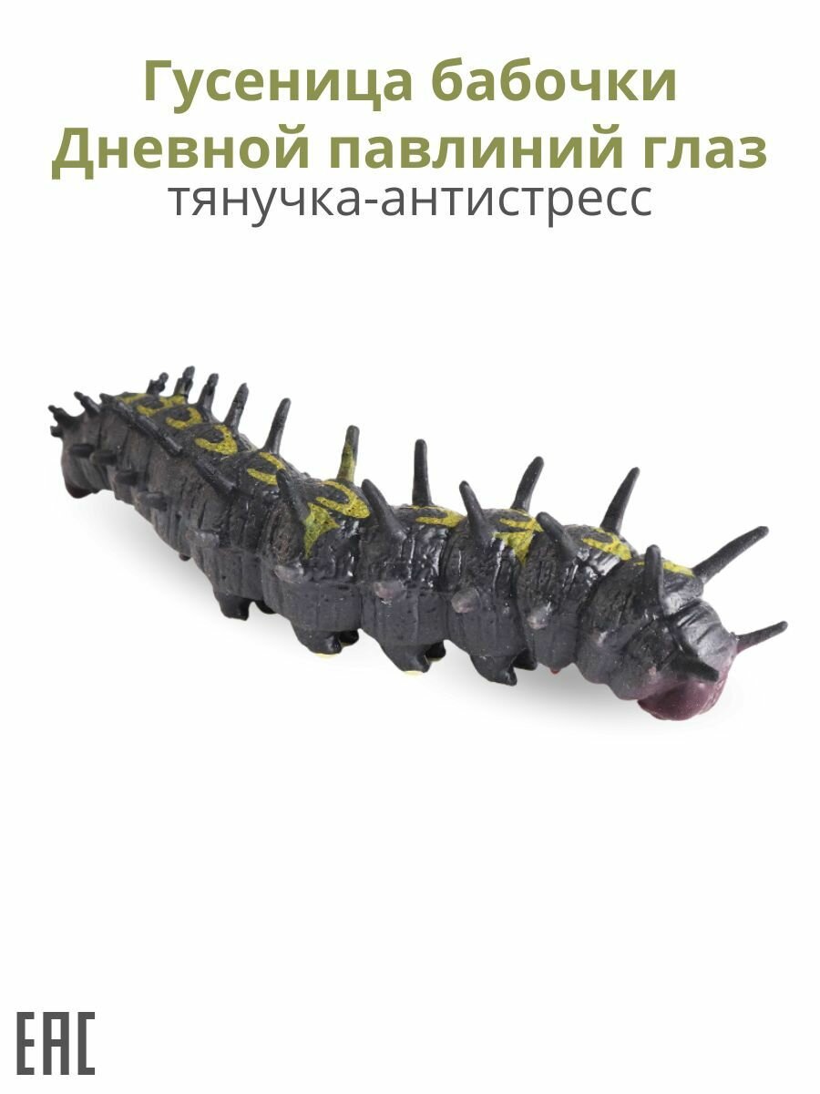 Гусеница антистресс бабочки Дневной павлиний глаз / Игрушка антистресс гусеница