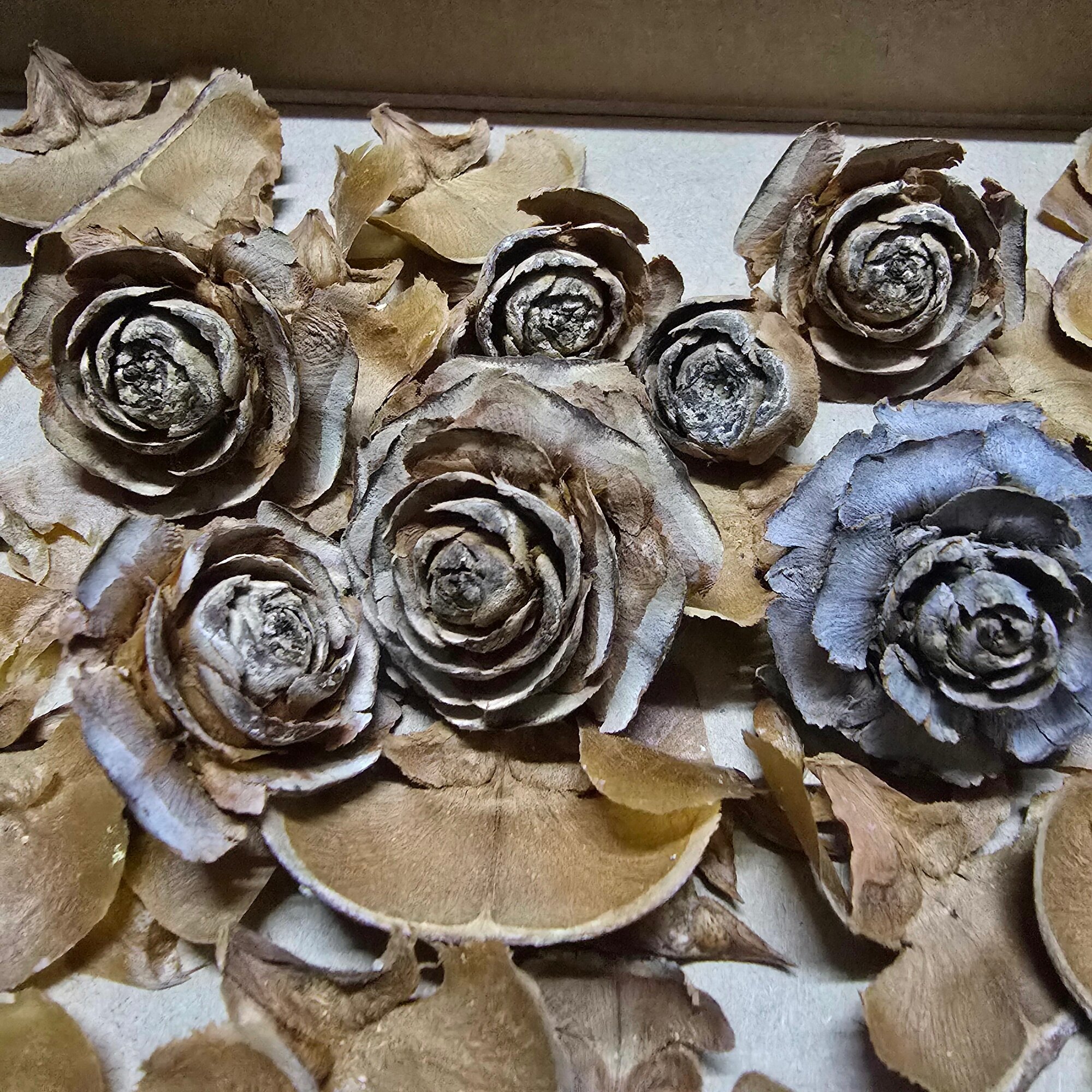 Шишки-розочки, для декора поделок, природный цвет, длина 3 см, 200 гр.