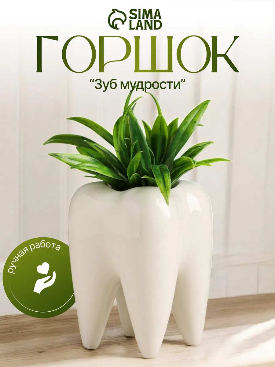 Декоративное кашпо для цветов «Зуб мудрости», 200 мл, 8.2×6.7×10 см, керамическое, белое