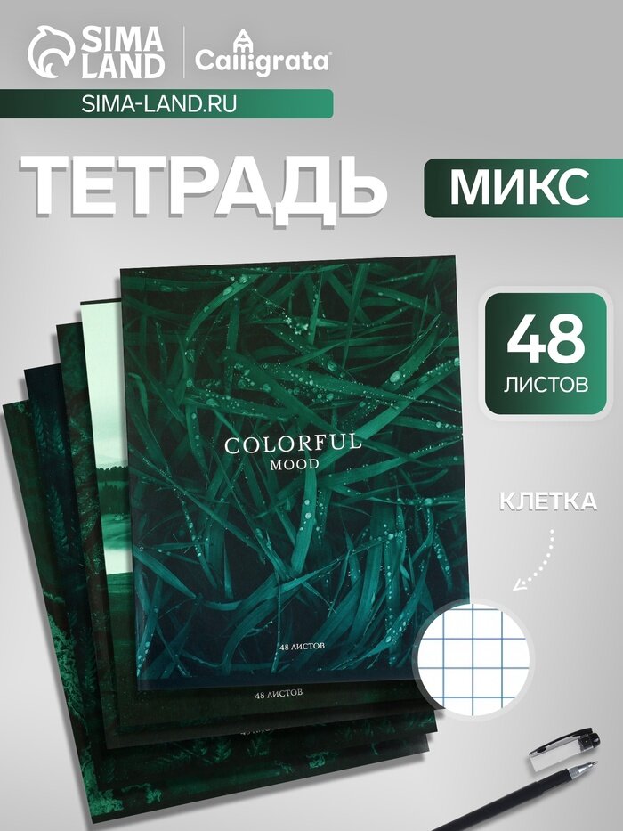 Тетрадь 48 листов в клетку, Calligrata Изумруд, микс, комплект 10 шт.