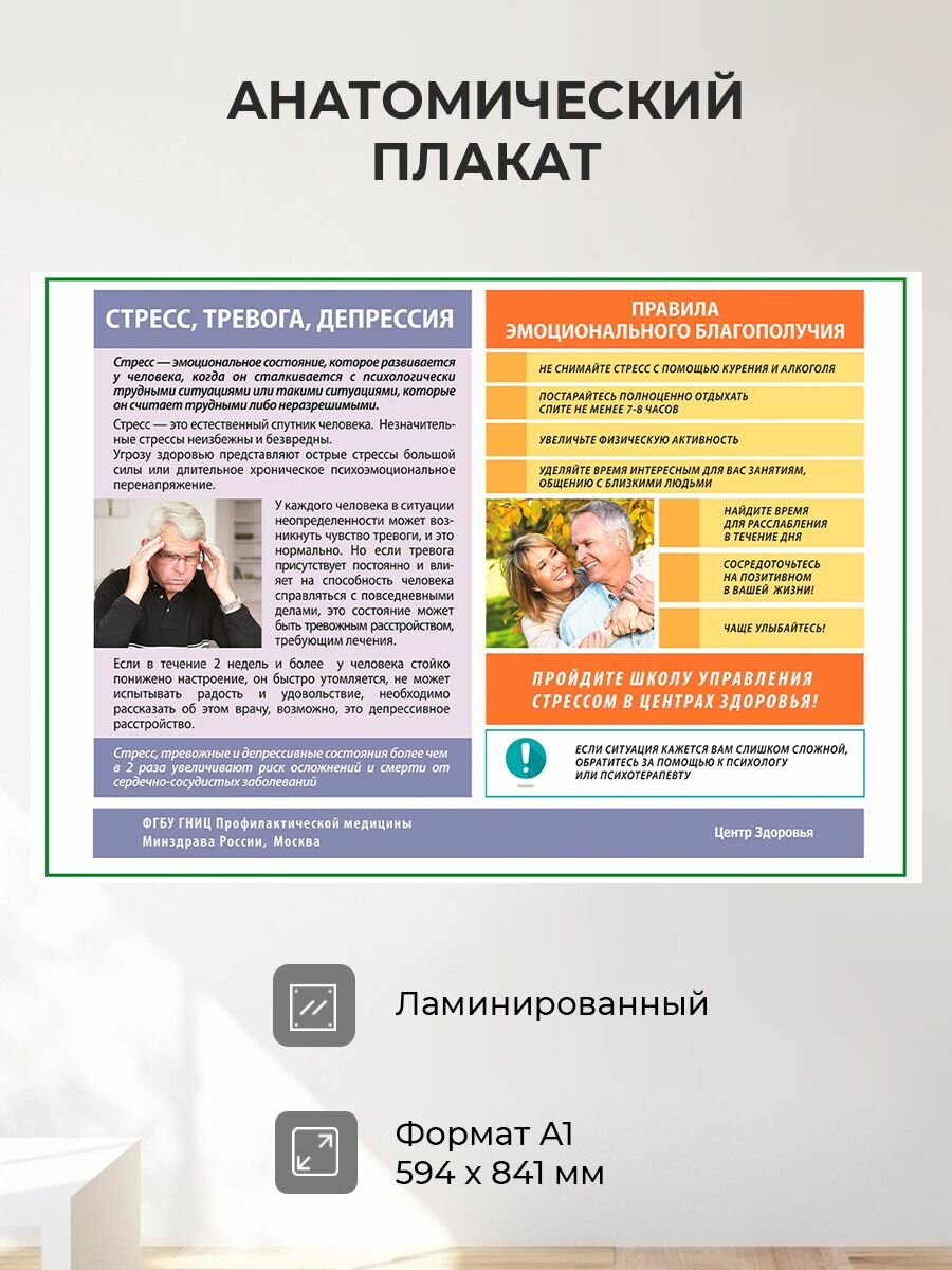 Обучающий медицинский плакат ламинированный формат А1 Стресс, тревога, депрессия