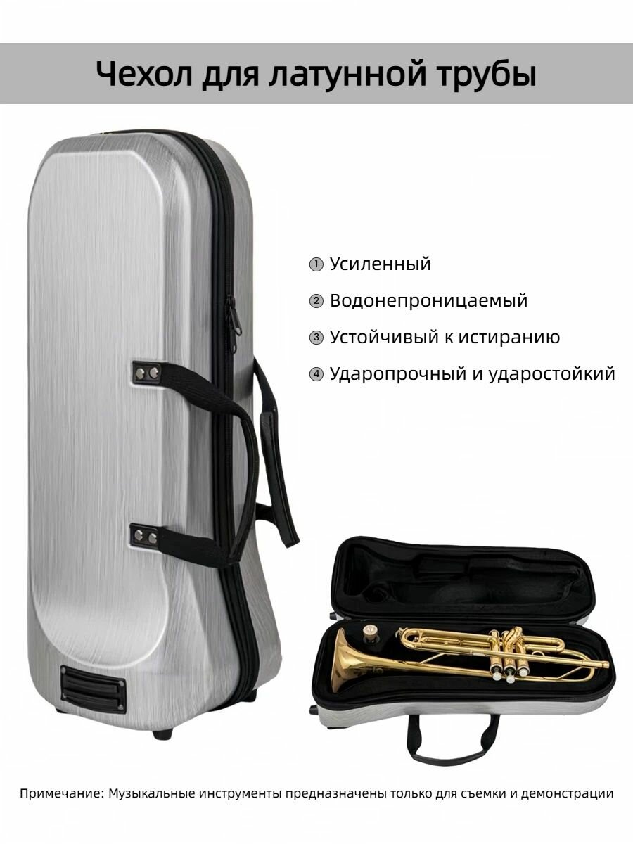 Чехол для музыкального инструмента