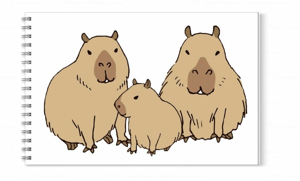 Альбом для рисования MIGOM А4 Капибара, Capybara - 0008