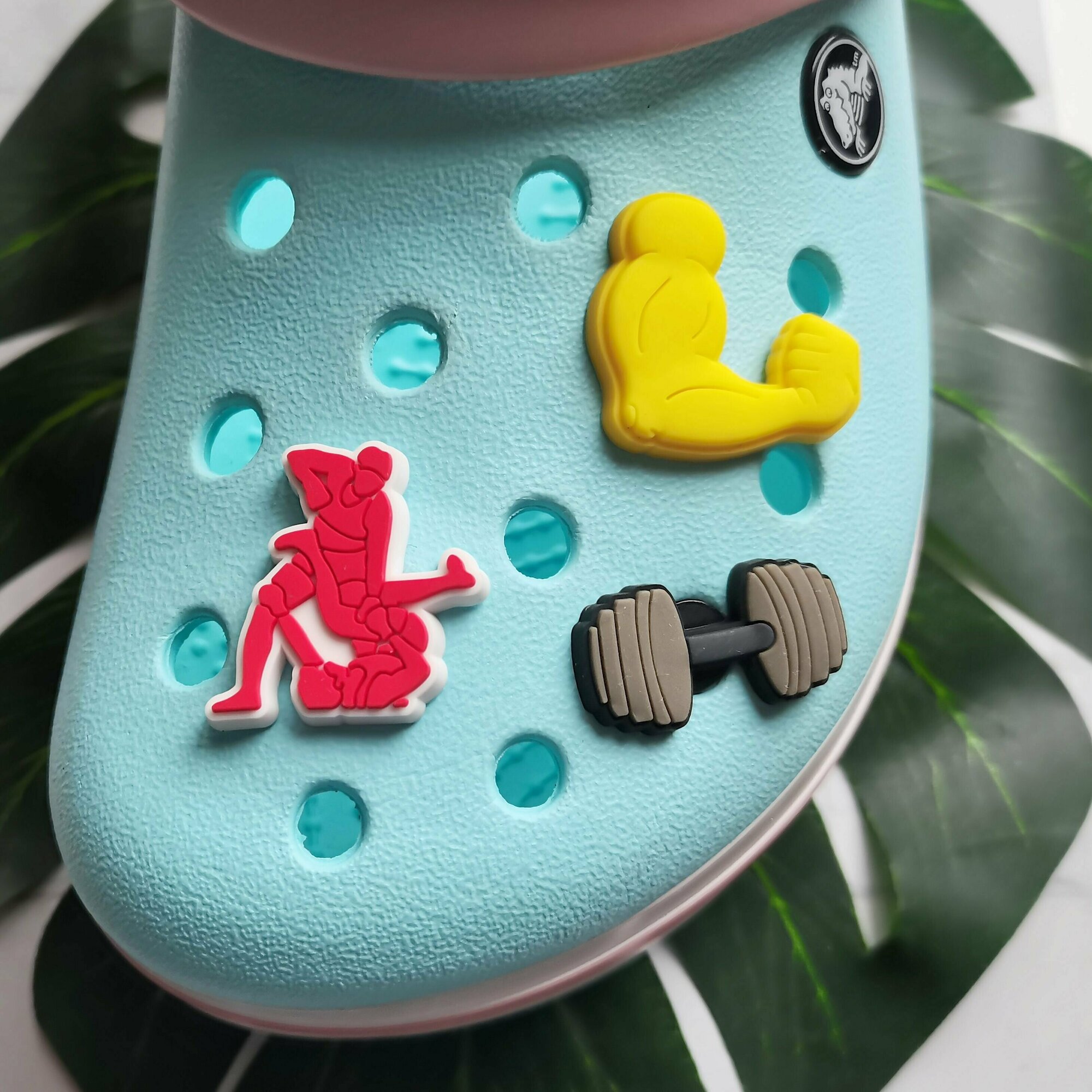 Джибитсы на Crocs борьба мужские гантели