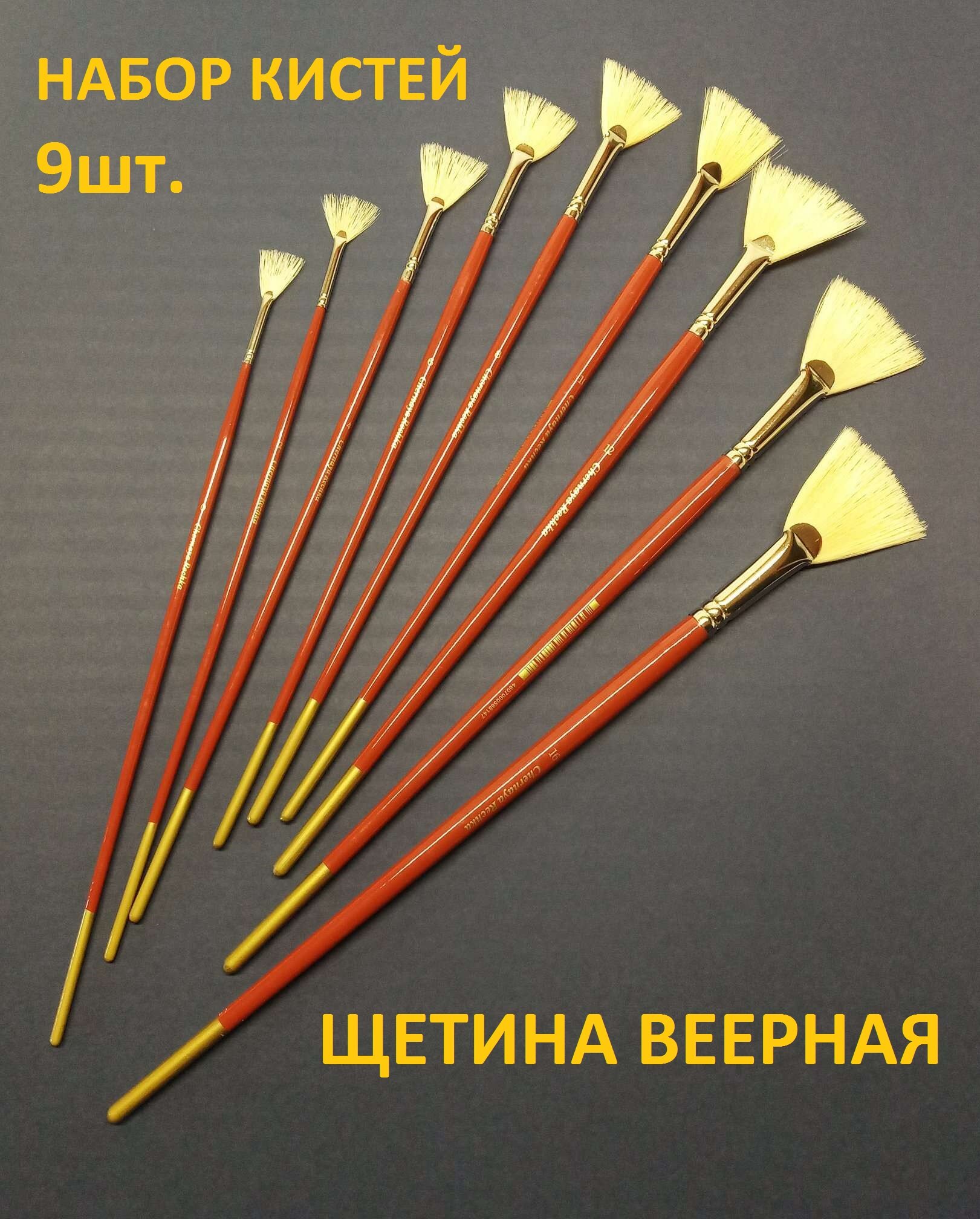 Набор кистей щетина веерная (9 шт.)