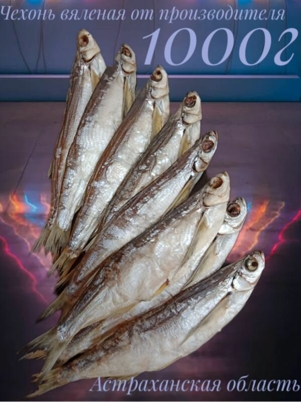 Чехонь вяленая Астраханская "Золотая Середина" в/у 1000грамм
