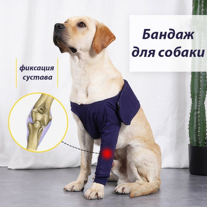 Бандаж на лапу послеоперационный, размер S, ОГ 40-52, длина 17 см, хлопок, спандекс, синий