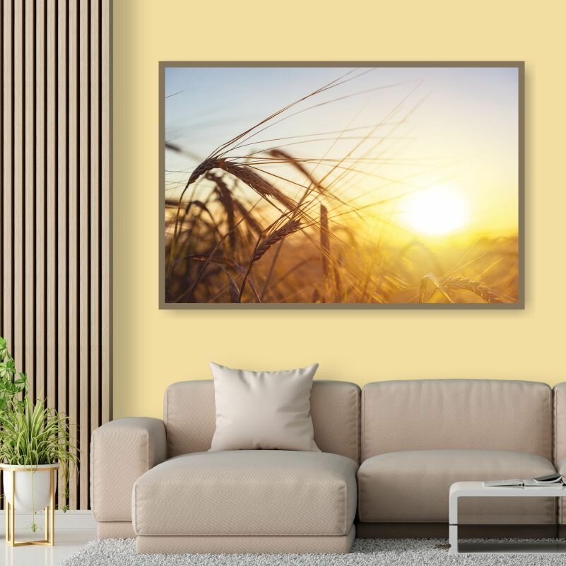 Постер Колосья На Закате 50х40 см в тубусе ПолиЦентр