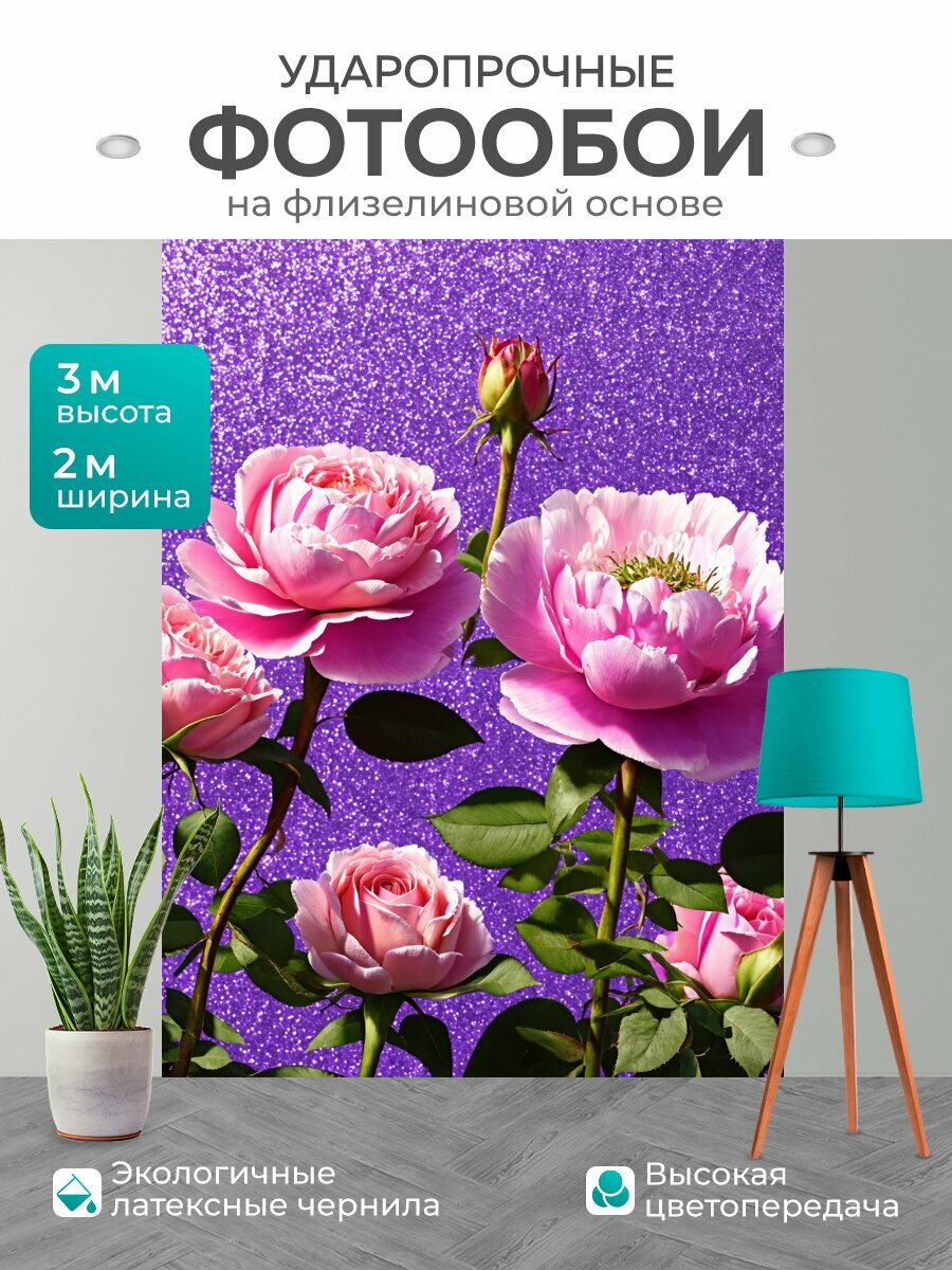 Фотообои моющиеся ударопрочные "Цветы в стиле гиперреализм, нежные пионовидные розы на блестящем фиолетовом фоне, игра света и тени" 200x300 см. флизелиновые на стену