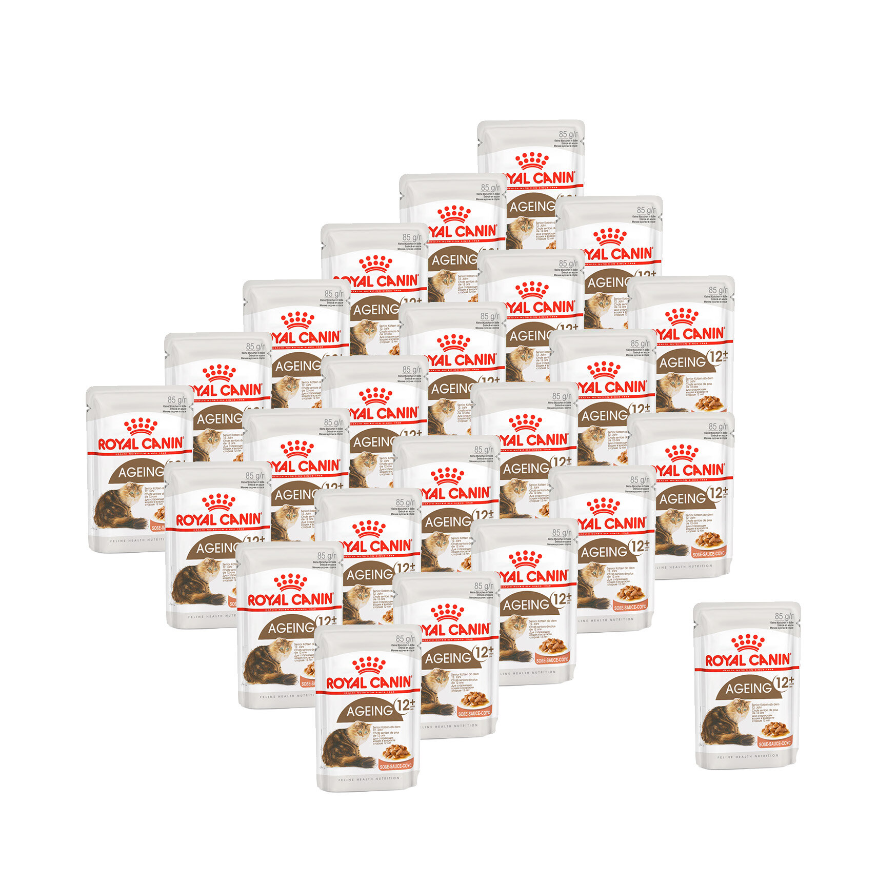 Royal Canin Корм Эйджинг 12+ для кошек старше 12 лет, 0.085 кг х 24 шт.