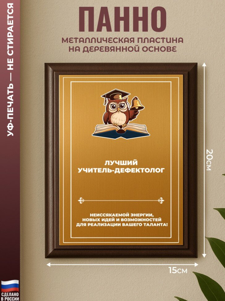 Настенный диплом "лучший учитель-дефектолог"