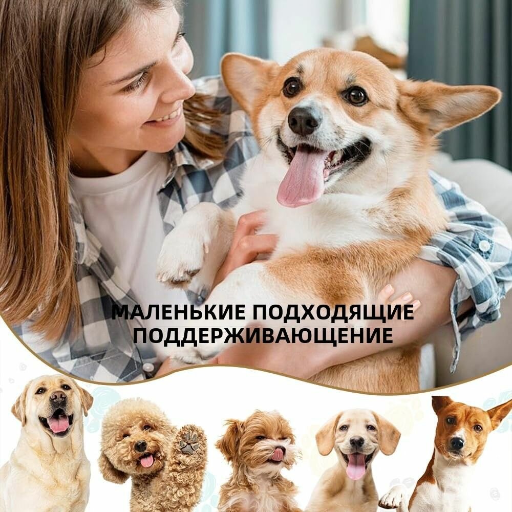 Машинка для стрижки домашних животных "Педикюр", для длинно- и короткошерстных собак/кошек, 5Вт