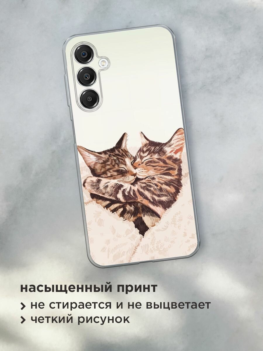 Чехол на Samsung Galaxy A16 / Самсунг А16 с принтом "Влюбленные котейки - 14 февраля" — фото 1