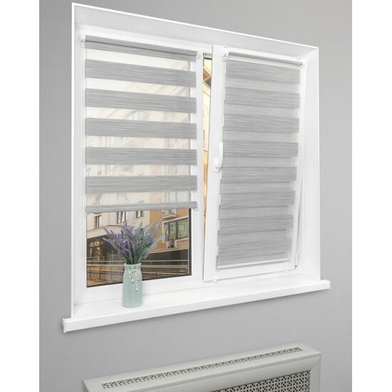 Рулонная штора LM Decor День-Ночь Стрит 21-02, серый, 48х160 см