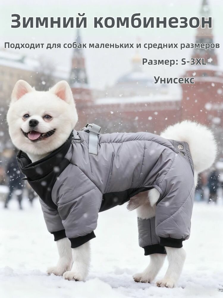 Одежда для животных
