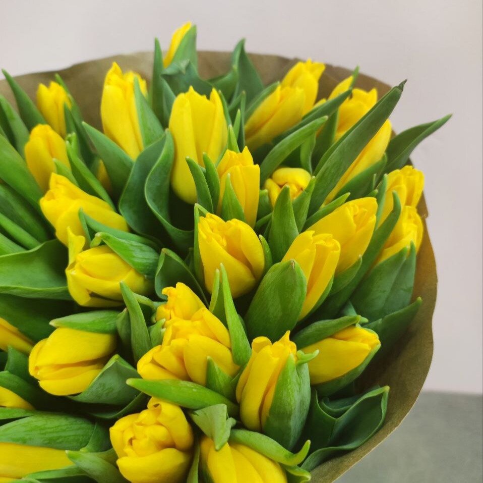 Букет желтых тюльпанов 39 шт