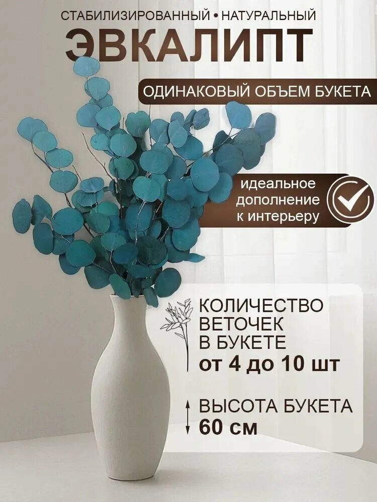 Сухоцветы Эвкалипт, 58 см, 300 гр, 1 шт