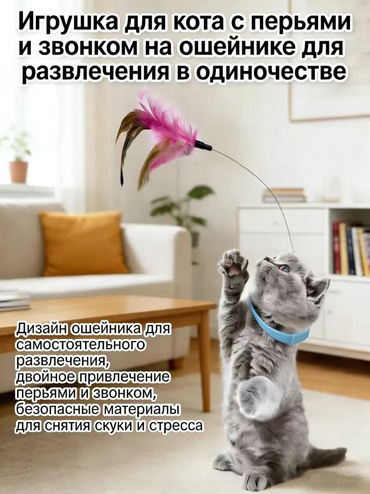 Игрушки для кошек, ошейники с перьями и колокольчиками помогают снять скуку и стресс