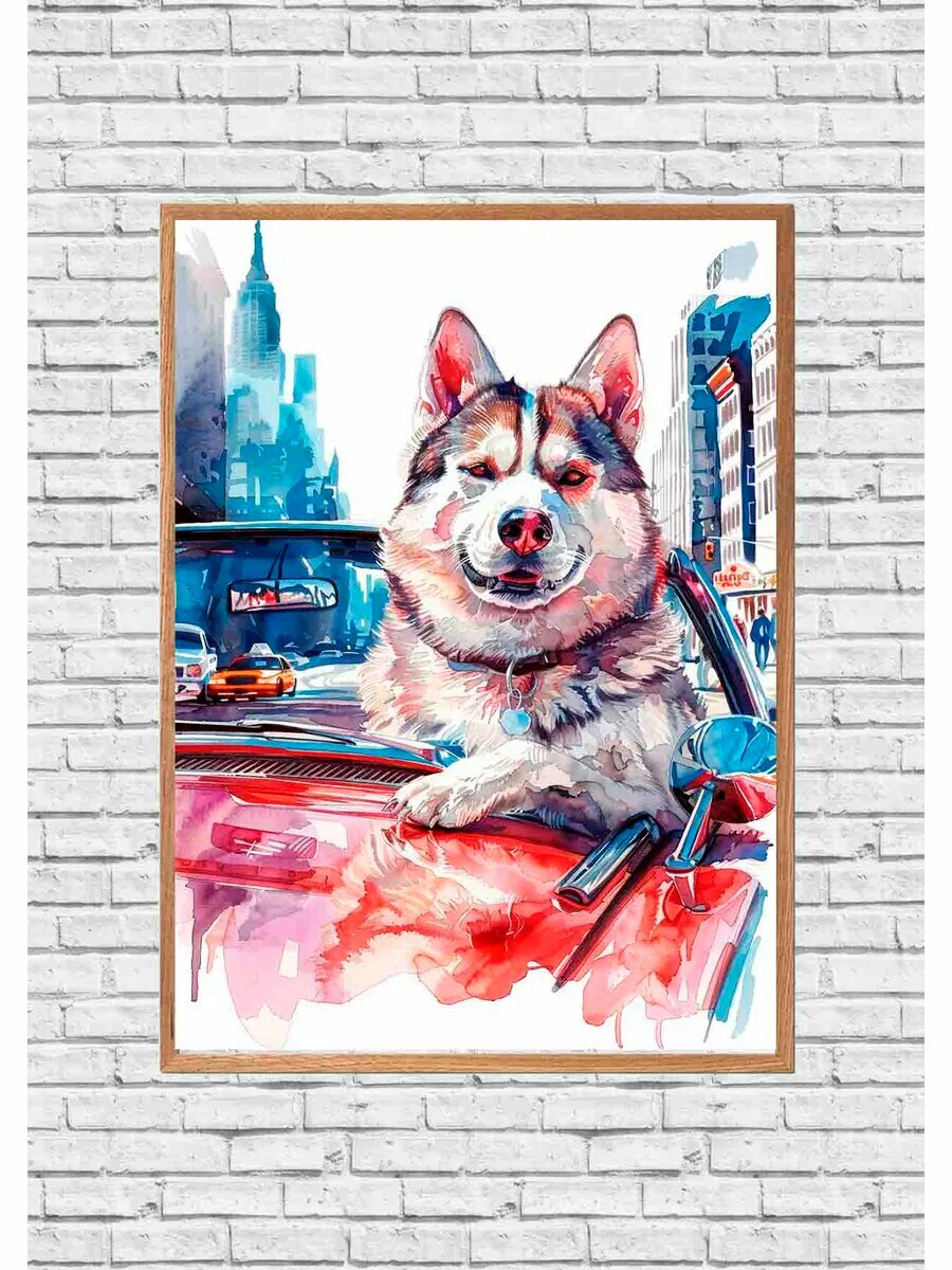 Сибирский хаски-собака-миллиардер 0, Плакат 30x42см