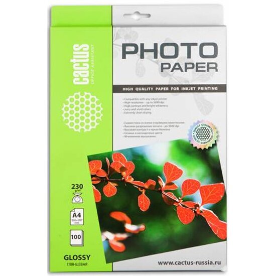 Фотобумага Cactus CS-GA4230100 глянцевая А4 230 г/м2 100 листов