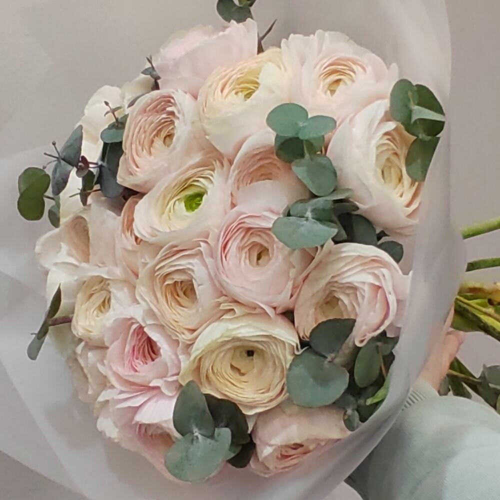 Букет Protea "Ранункулюсы", монобукет, 25 цветов, высота 30см, L размер