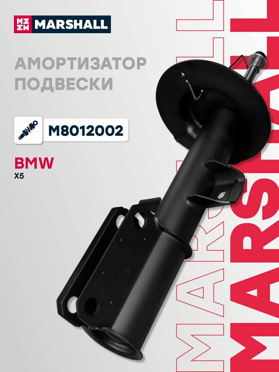 Амортизатор подвески передний правый BMW БМВ X5 31306754342