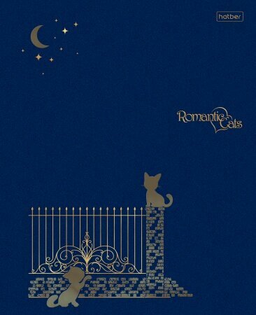 Хатбер Тетрадь в клетку, 48 листов, формат А5, на скобе, мат. ламин. 3D фольга, в ассортименте