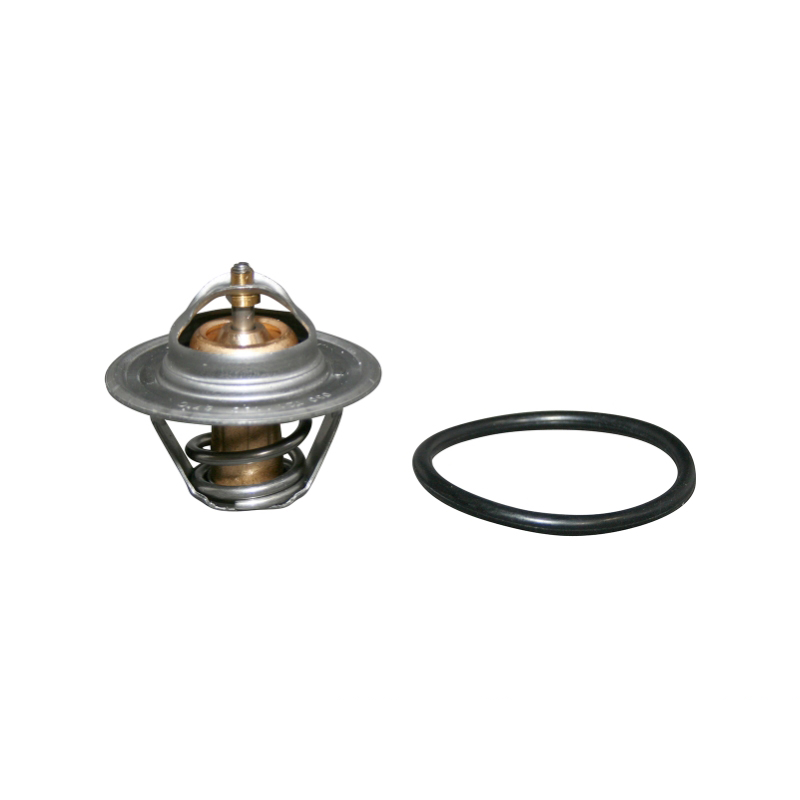 JP GROUP 1114600910 (0282870009 / 050121113C / 050121113CS) термостат Audi (Ауди) a3 (8l1) 1.6 [1996 / 09-2003 / 05], Audi (Ауди) a3