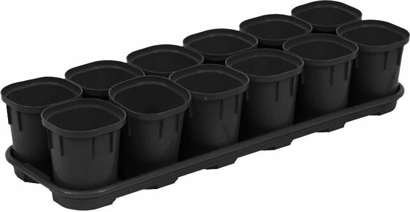 Набор для рассады 12 горшков - 0,2л со съемным дном, с поддоном 425х145х84