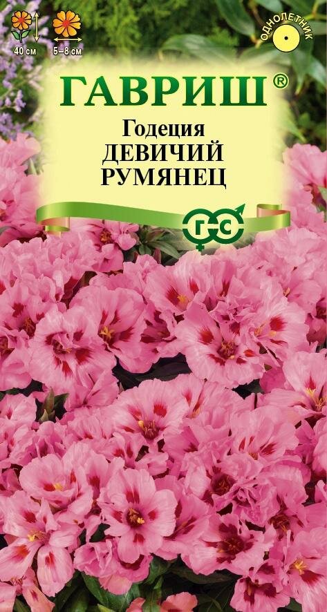 Цена за 10 пачек! Семена Годеция Девичий румянец махровая 0,05г Одн 40см (Гавриш)