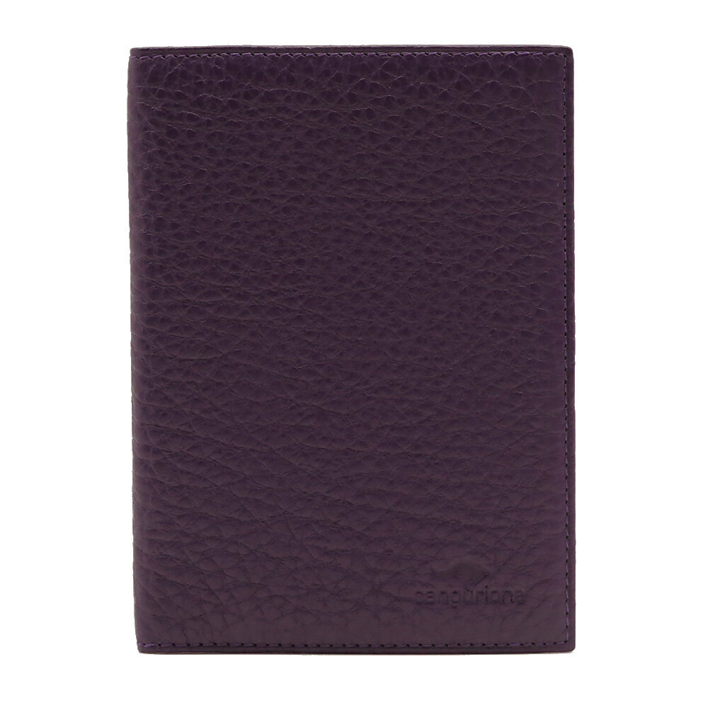 Обложка для автодокументов