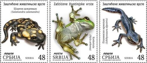 Почтовые марки Сербия 2023г. "Охраняемые виды животных" Амфибии MNH
