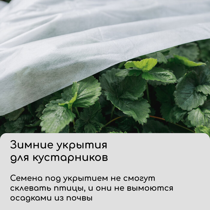 Материал укрывной, 5×3.2 м, плотность 60 г/м², спанбонд с УФ-стабилизатором, белый, Greengo, Эконом 30% — фото 1