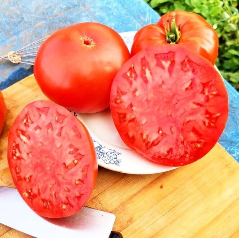 Семена томатов Мойя, сладкий вкус, крупные плоды, однолетние