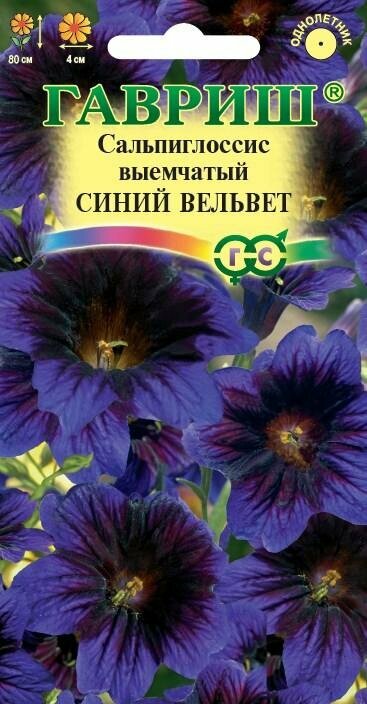 Цена за 10 пачек! Семена Сальпиглоссис Синий вельвет 0,02г (Гавриш)