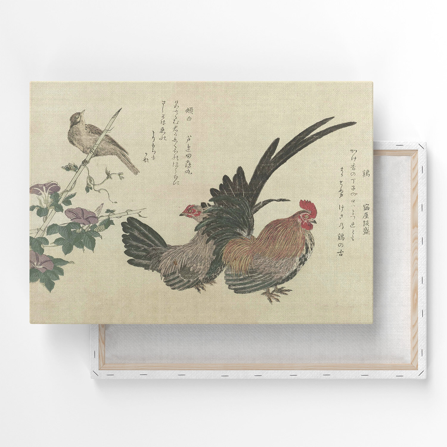 Картина на холсте, репродукция / Китагава Утамаро - Haan, hen en vogel / Размер 30 x 40 см