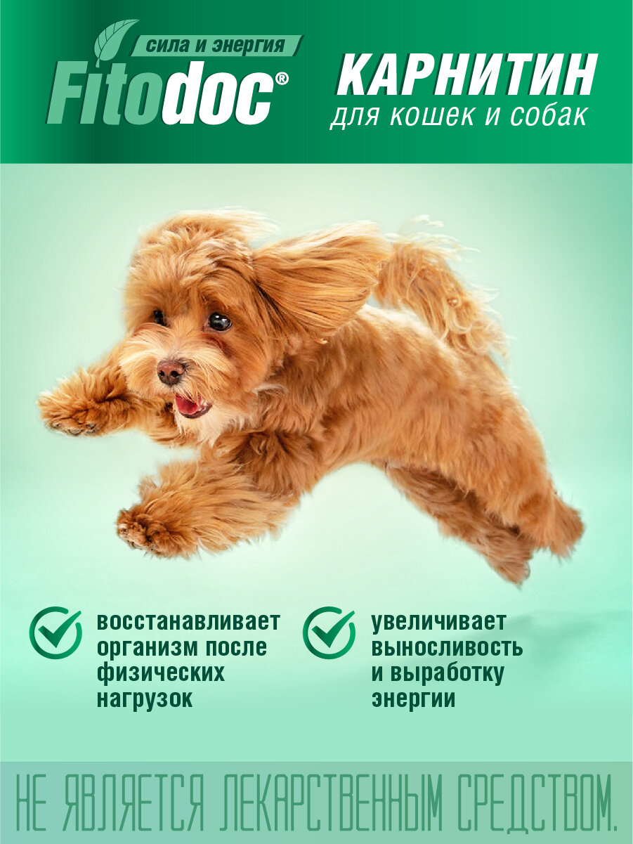 Витамины Fitodoc АВЗ "Карнитин", для кошек и собак, раствор, 50мл — фото 1