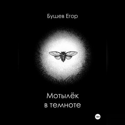 Мотылёк в темноте [Аудиокнига]