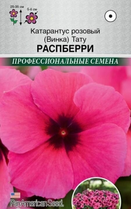 Семена растения катарантус розовый (винка) тату распберри