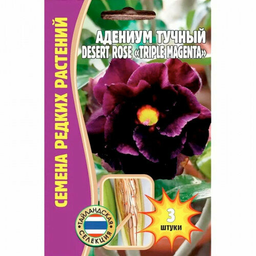 Семена Адениума тучного DESERT ROSE "TRIPLE MAGENTA" ( 3 сем.)
