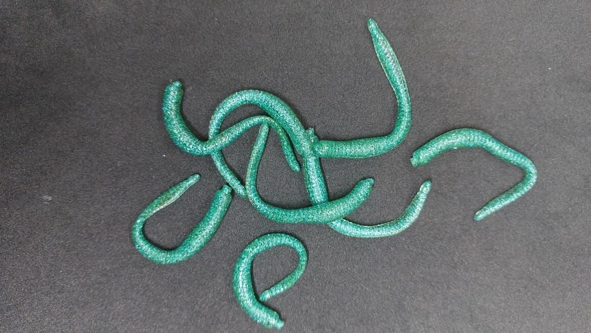 Силиконовые сьедобные приманки "Бобровый хвост". цвет Бирюза