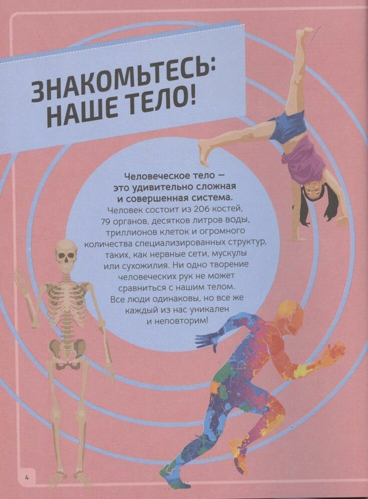 Тело человека. Инфографика — фото 1