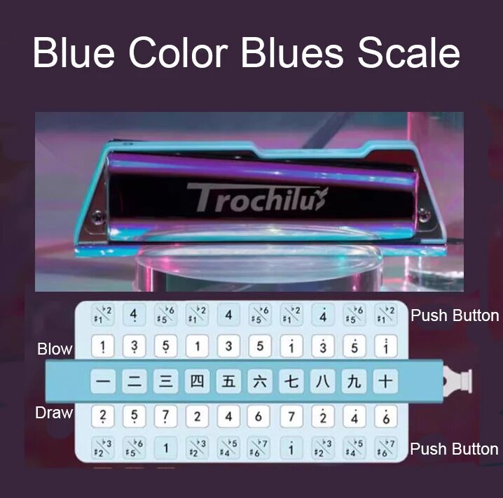 Trochilus гармоника хроматическая Blues C key