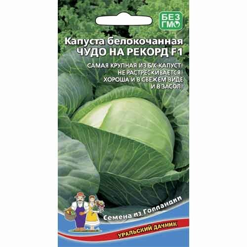 Семена Капуста белокачанная Чудо на Рекорд F1 0.3г Поздние (Уральский Дачник)